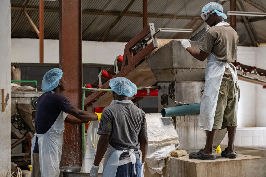 Feed Salone – For a food-secure and prosperous Sierra Leone